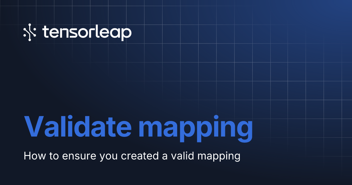 Validate mapping | Tensorleap Docs