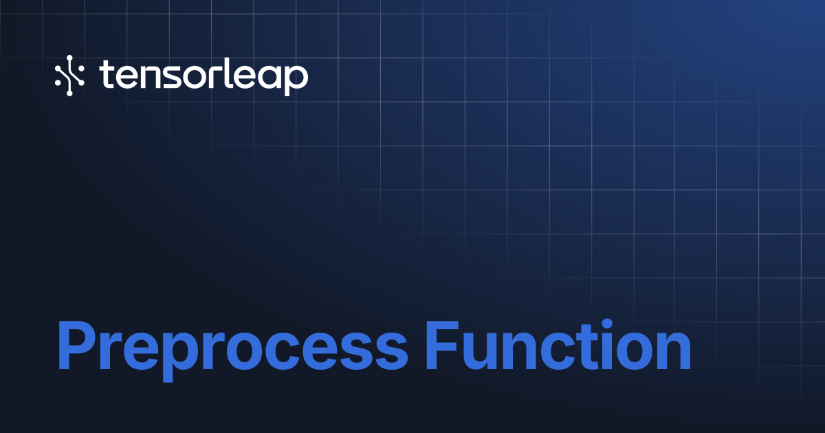 Preprocess Function | Tensorleap Docs