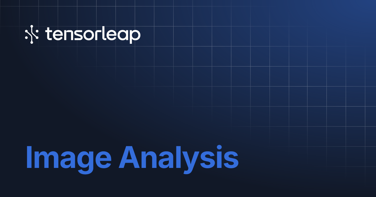 Image Analysis | Tensorleap Docs