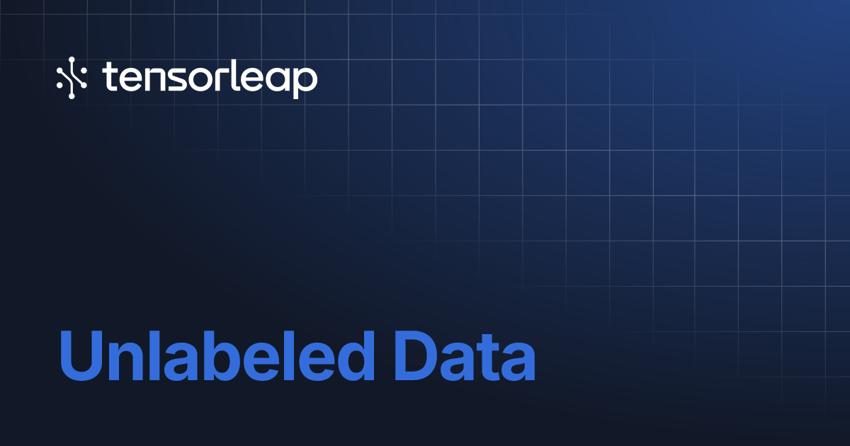 Unlabeled Data | Tensorleap Docs