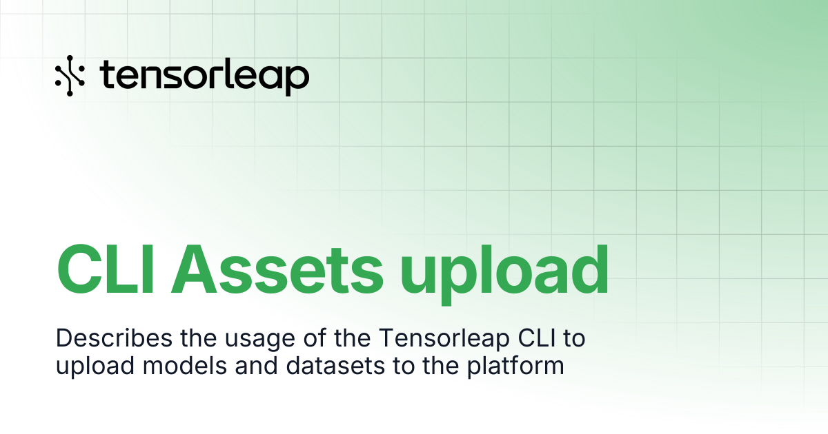 CLI Assets upload | Tensorleap Docs