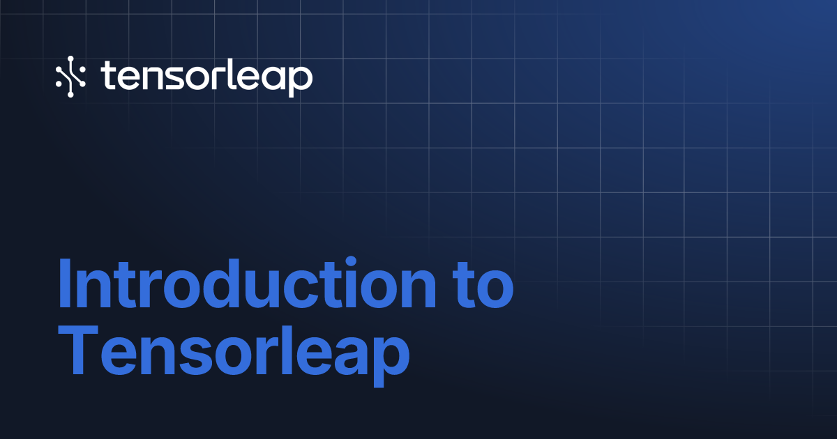 Introduction to Tensorleap | Tensorleap Docs