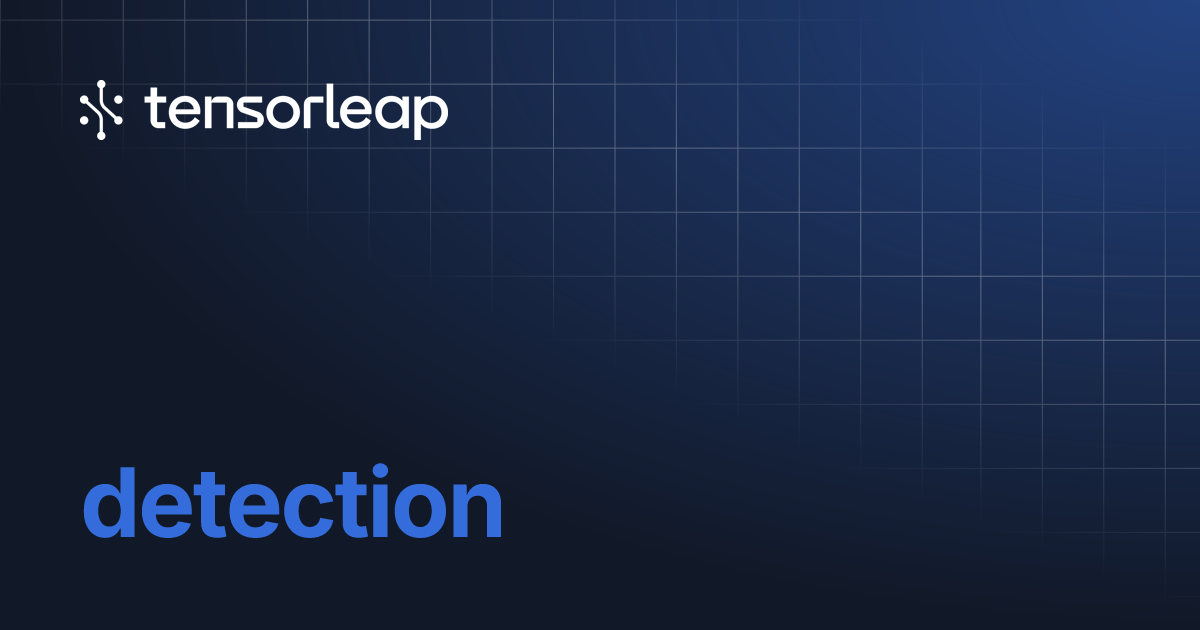 detection | Tensorleap Docs